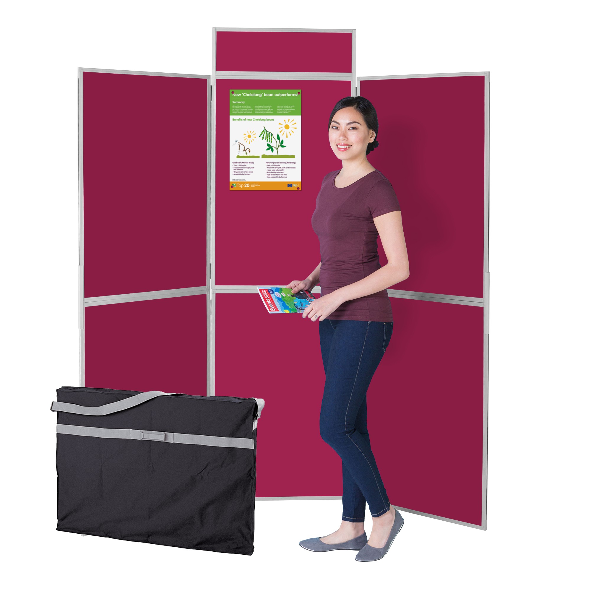 Folding 6 Panel Display Kit - Plastic Frame | Wonderwall Products Ltd