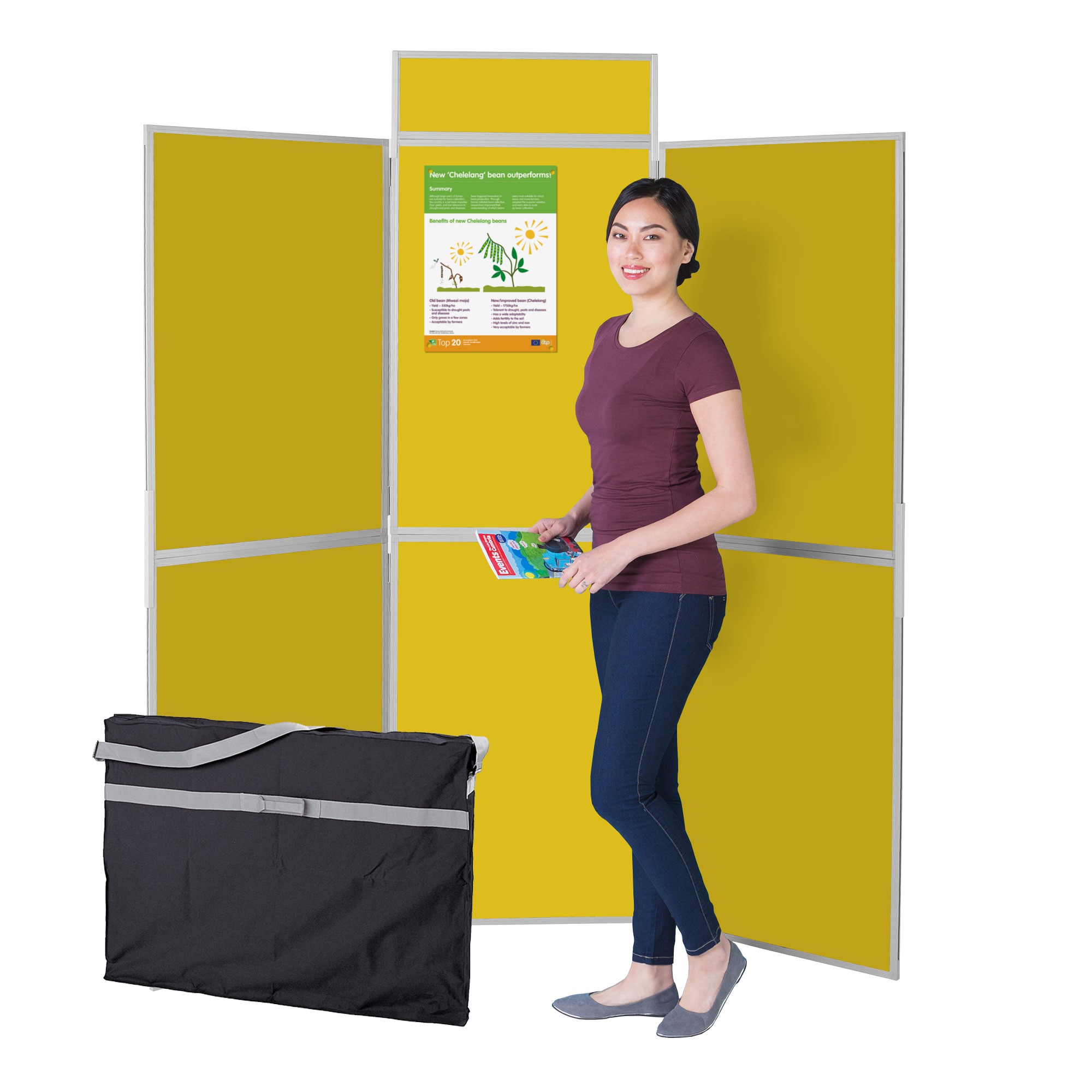 Folding 6 Panel Display Kit - Plastic Frame | Wonderwall Products Ltd